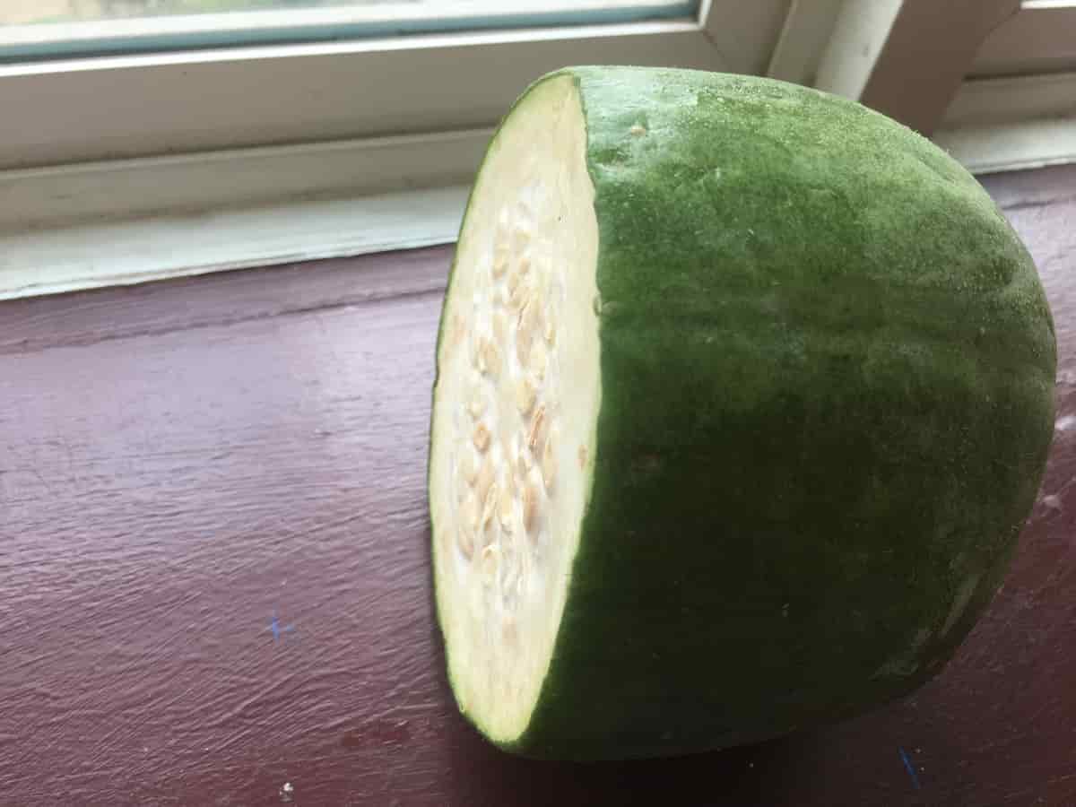 5 Winter Melon (Ash Gourd) Benefits, Easy Recipe | Ayurvedic Superfoods